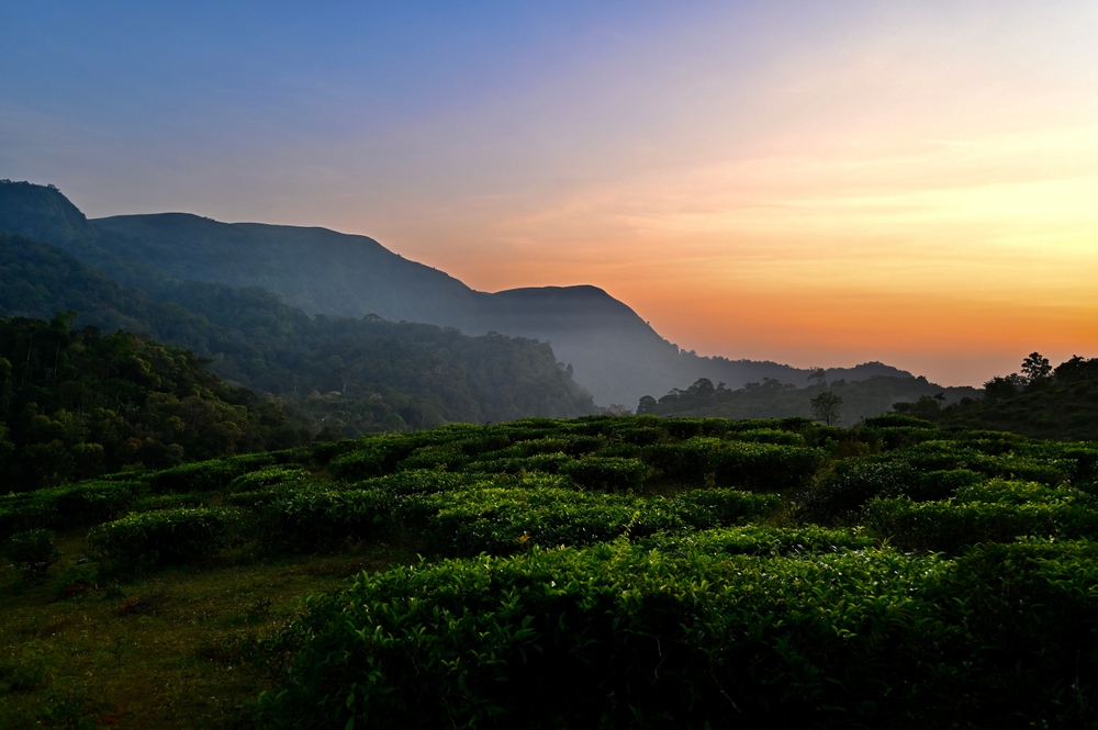 Lemon Tree Hotels | Official Online Hotel Booking Website – Chain of ...