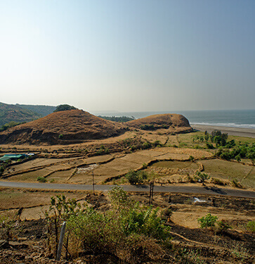 Lemon Tree Dapoli | Hotels & Restaurants in Dapoli City