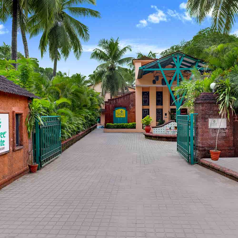 Lemon Tree, Amarante Beach Resort, Goa Hotel Image Gallery | Amarante ...