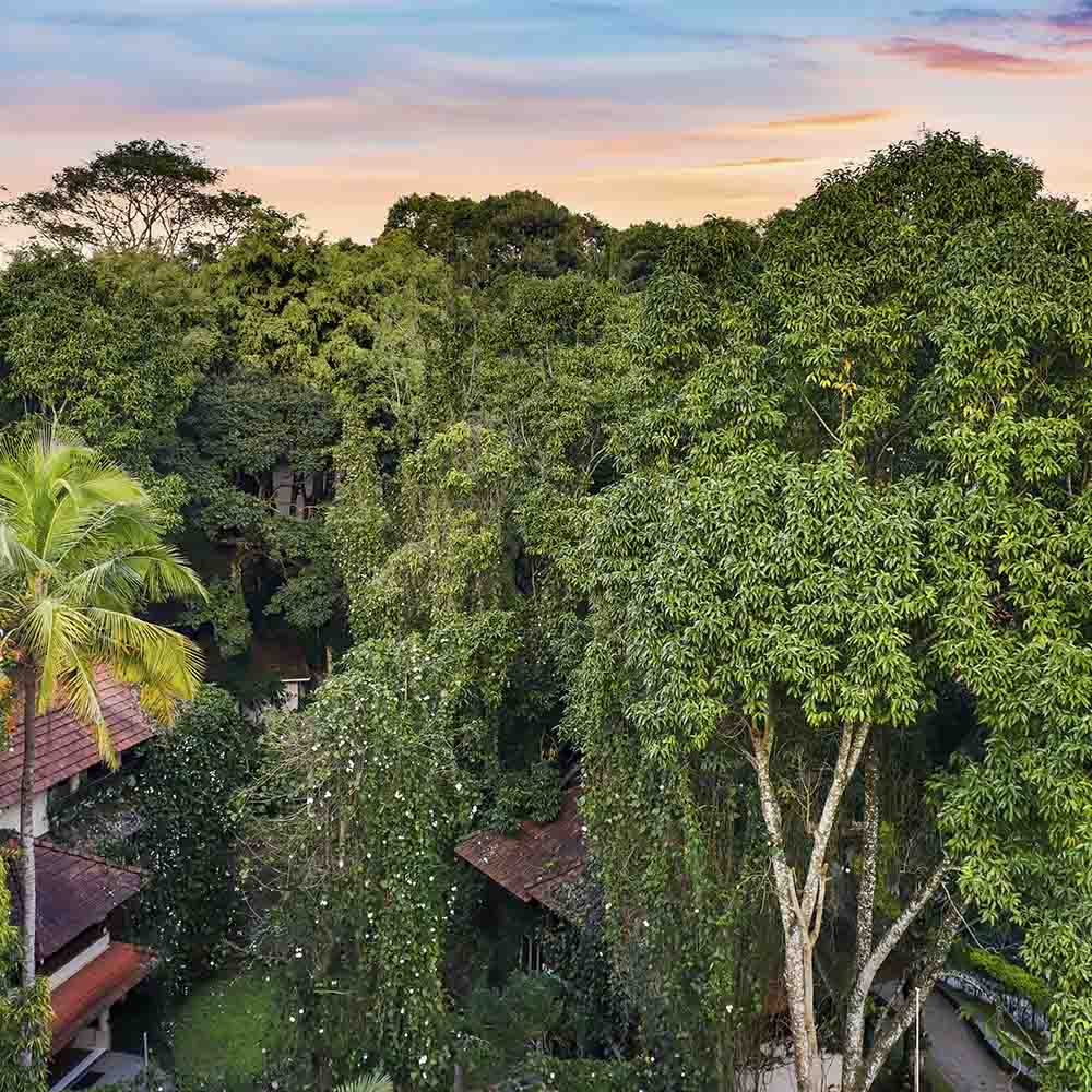 Keys Prima, Thekkady - Hotel & Rooms Images