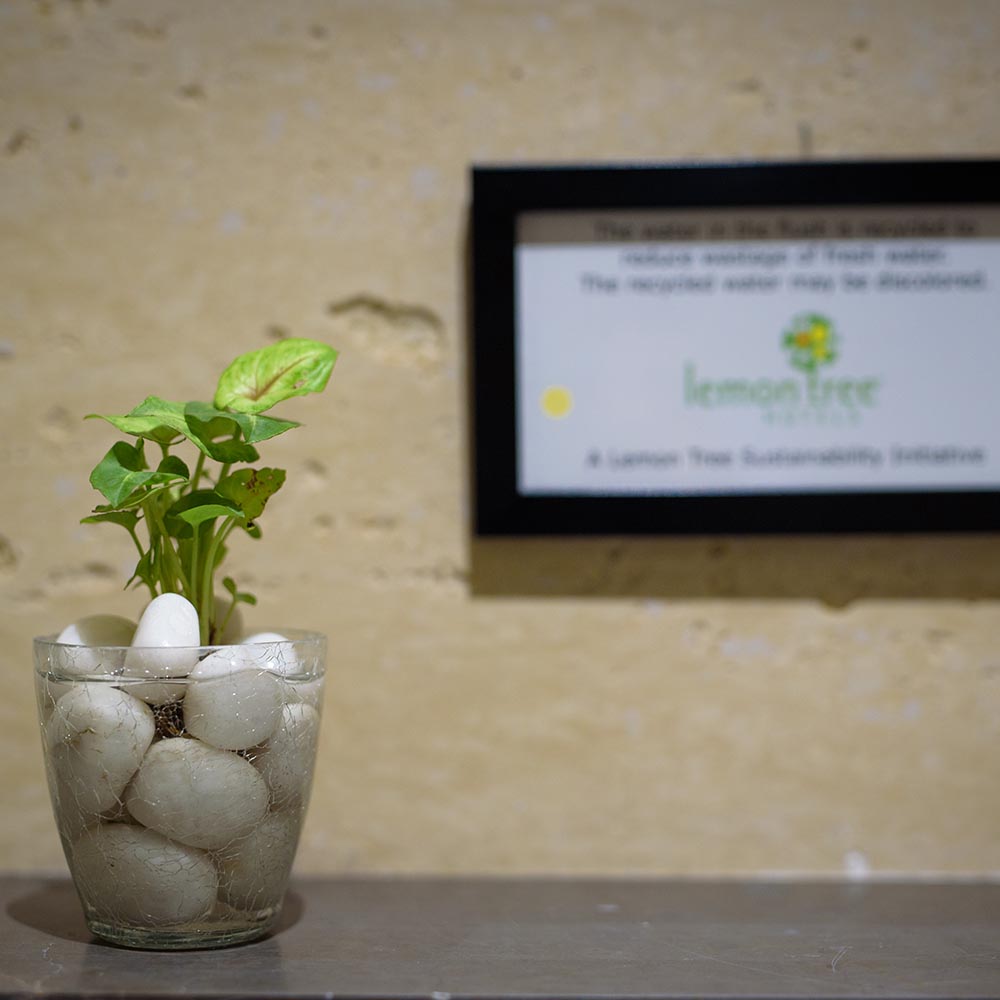 Lemon Tree Hotel, Siliguri Hotel Image Gallery & Videos